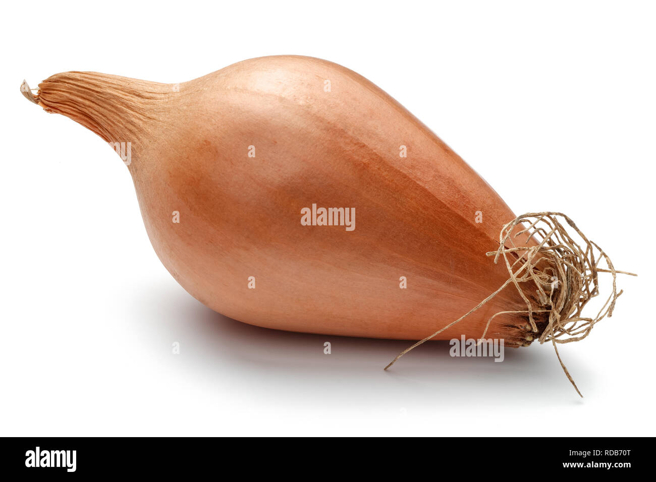 Single onion bulb isolated on white background Stock Photo - Alamy