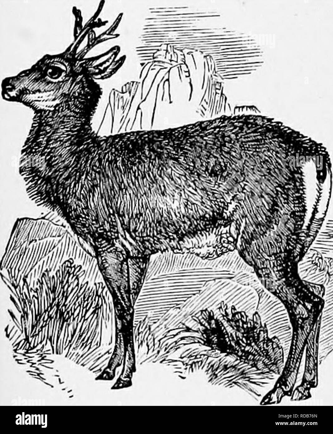 Lines of equal height Black and White Stock Photos & Images - Alamy