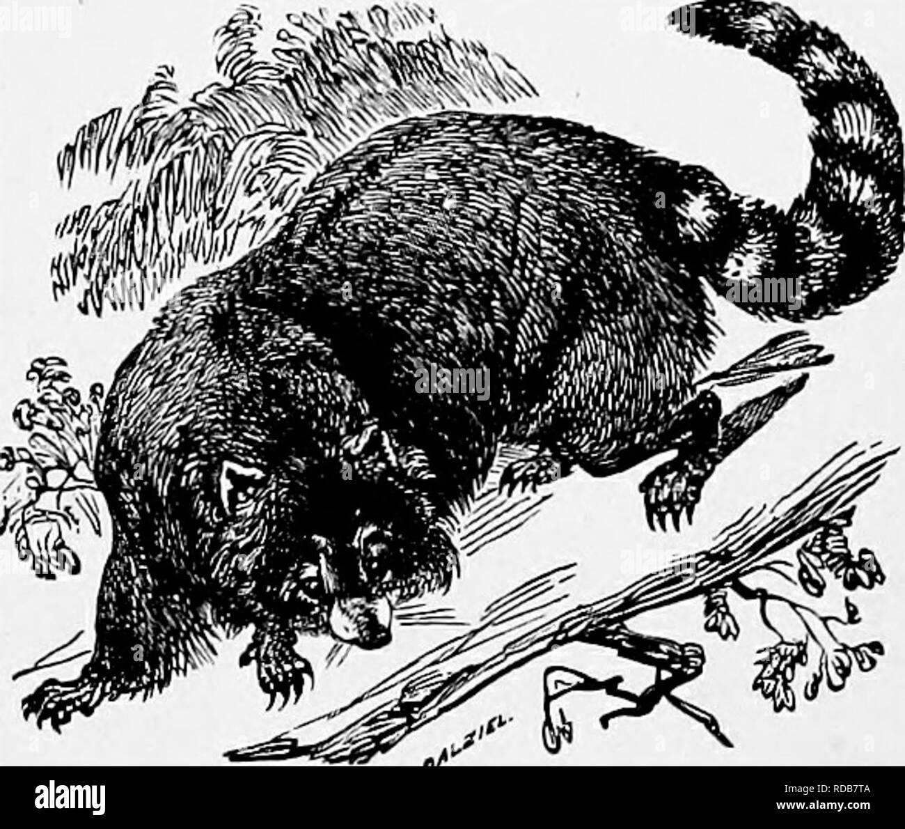 Black predominating hi-res stock photography and images - Alamy