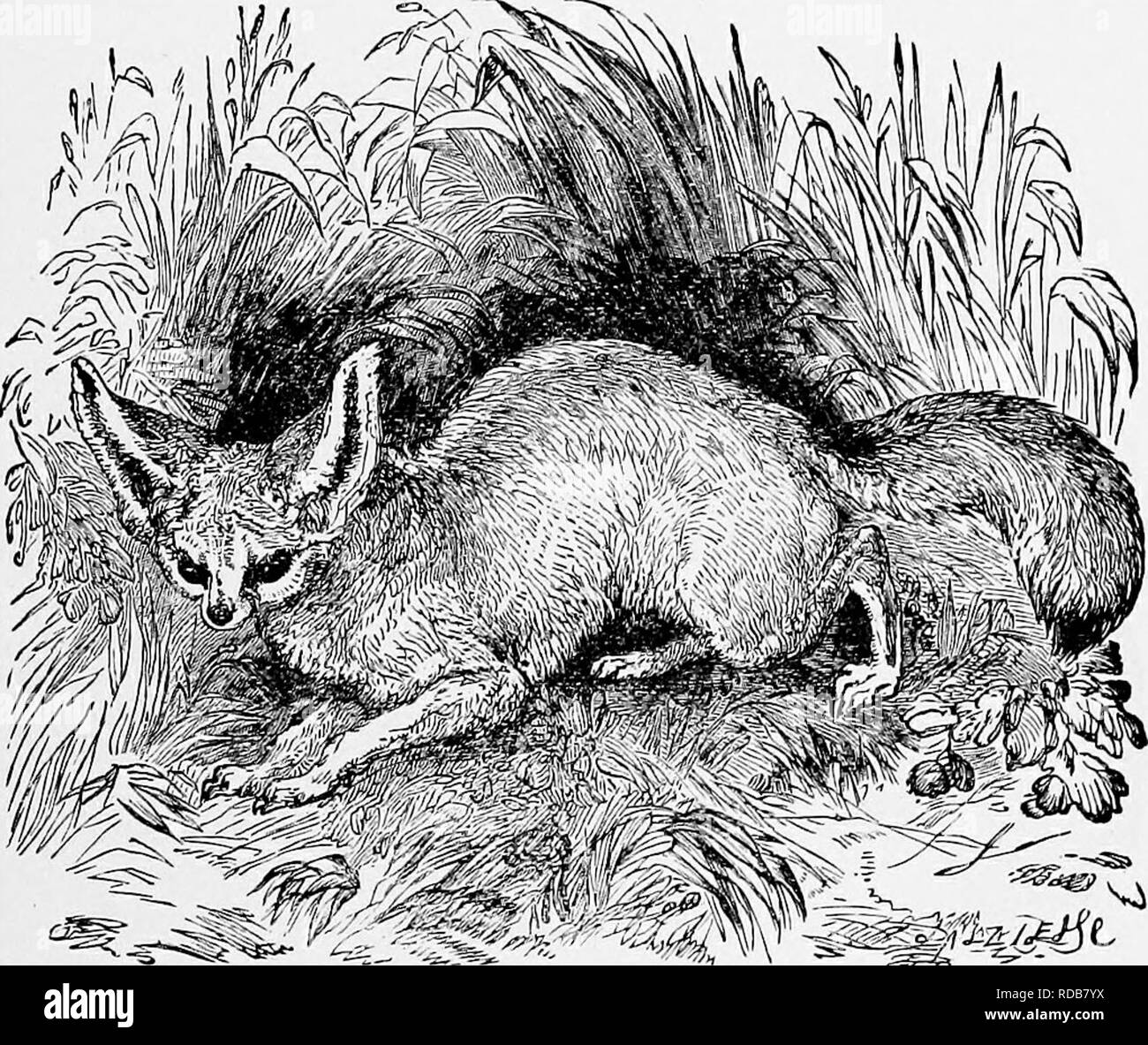 Marvellous colour Black and White Stock Photos & Images - Alamy