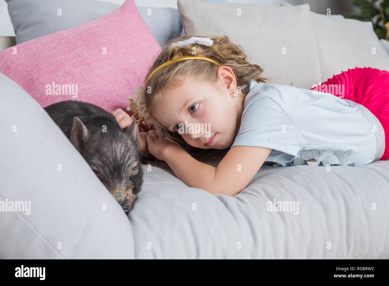 Beautiful baby girl on sofa near a black vietnamese piglet. Concept of ...