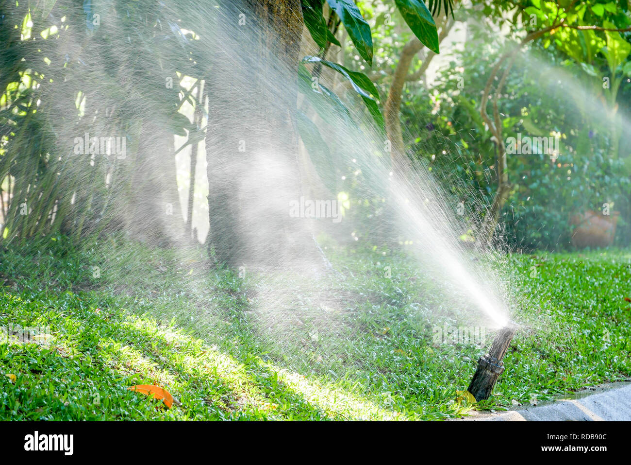 Springer water system in the garden Stock Photo - Alamy