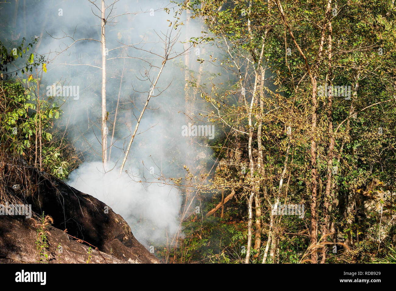 smoke prairie fire. Dry grass blazes among bushes destruction of ...
