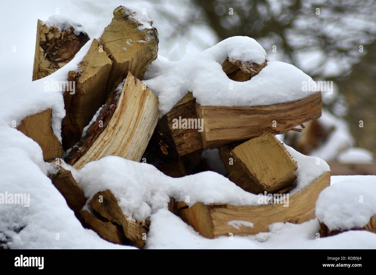 Snow covered wood pile, Broad Campden, Chipping Campden ...