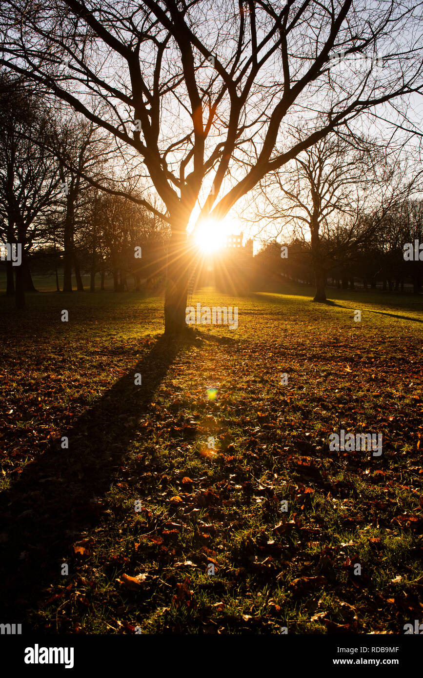 Cold Winter Morning Light and Shadows at Wollaton Park in Nottingham ...