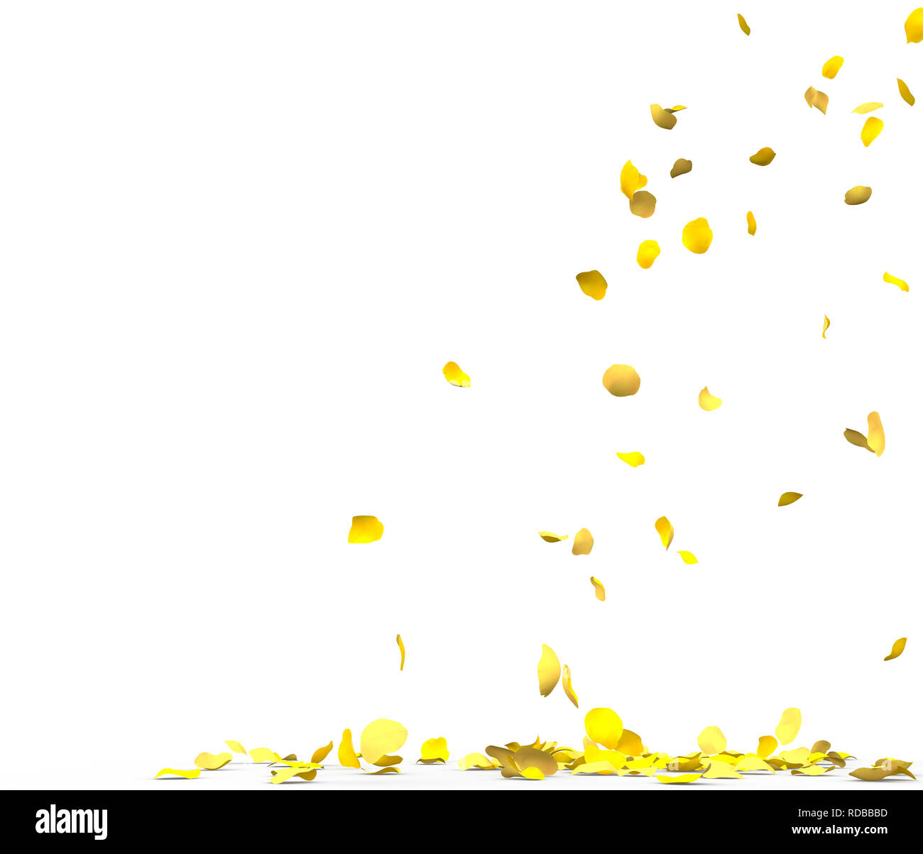 Many rose petals fall on the floor. Isolated on white background Stock ...