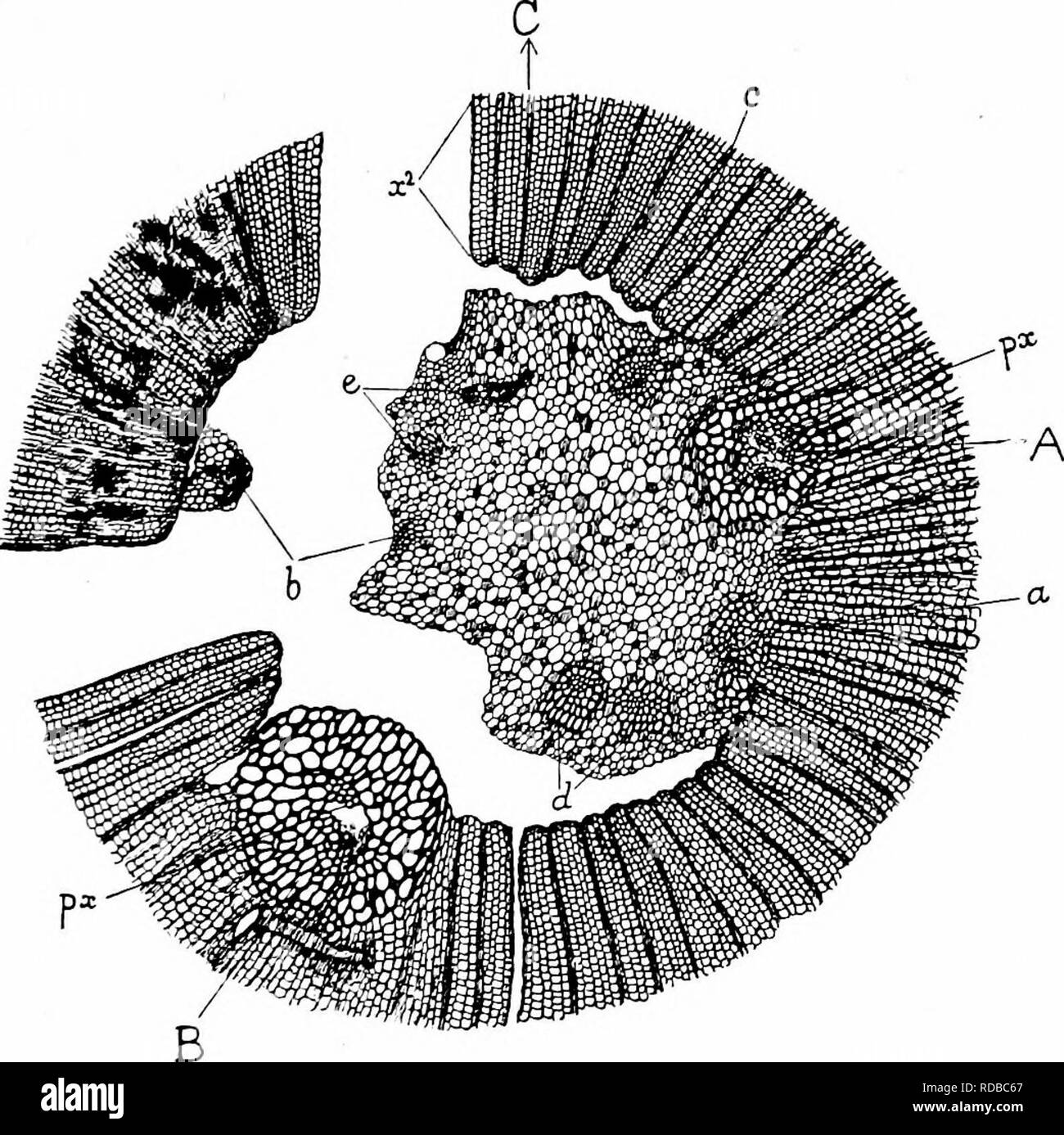 Reparator Black and White Stock Photos & Images - Alamy