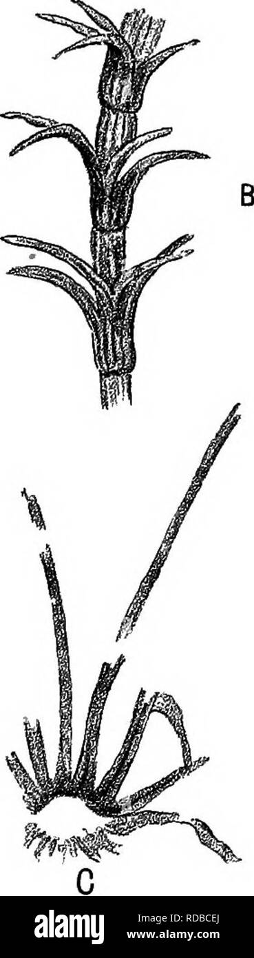 Nagpur district hi-res stock photography and images - Alamy