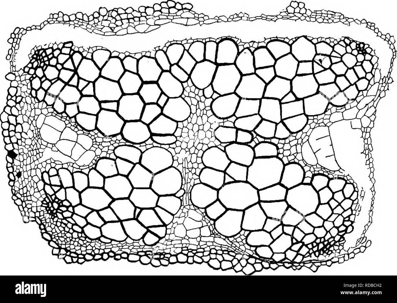 Large sieve Black and White Stock Photos & Images - Alamy