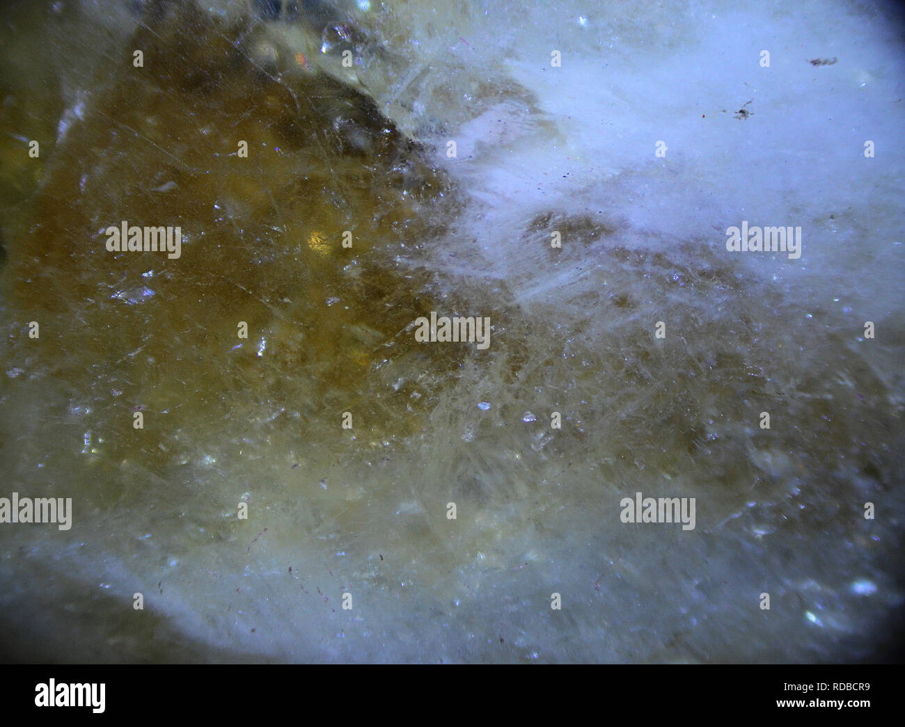 Photo micrography hi-res stock photography and images - Alamy