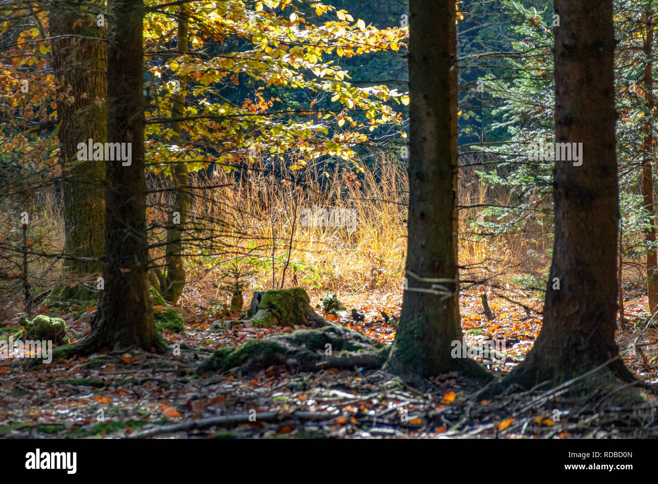 Colorful idyllic hi-res stock photography and images - Alamy