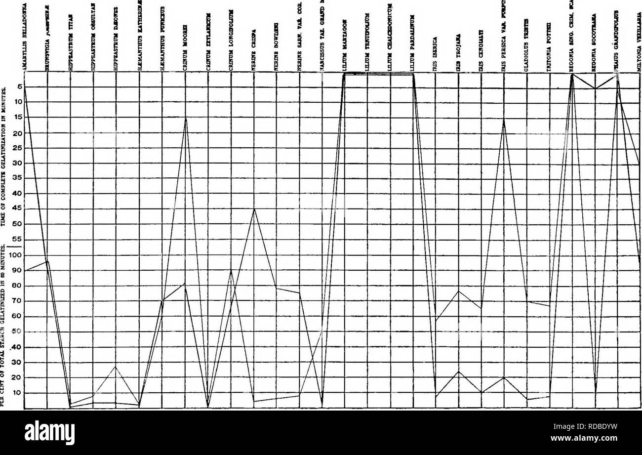 Heredity chart hi-res stock photography and images - Alamy