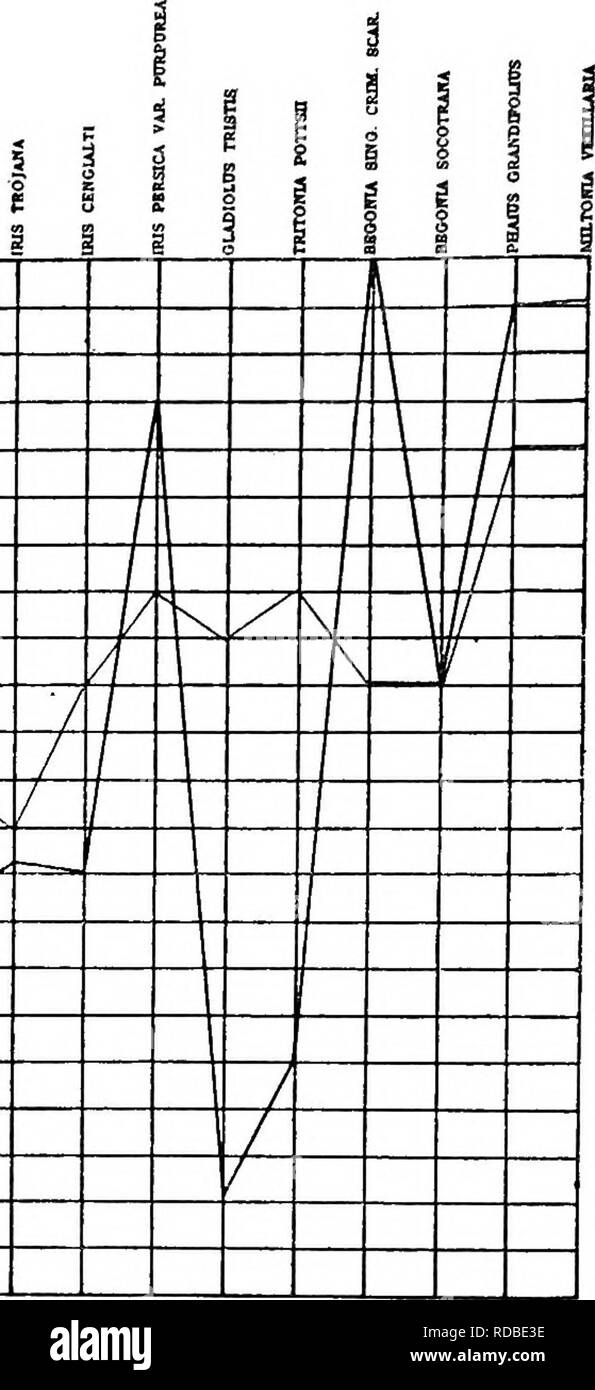 Heredity chart hi-res stock photography and images - Alamy