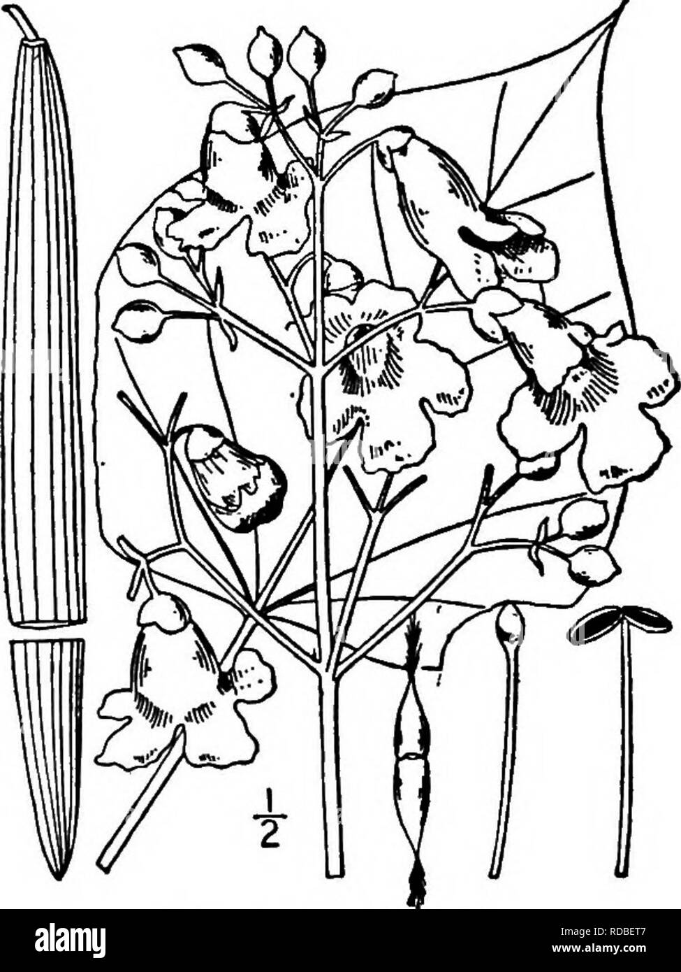 12 4 6 5 cm Black and White Stock Photos & Images - Alamy