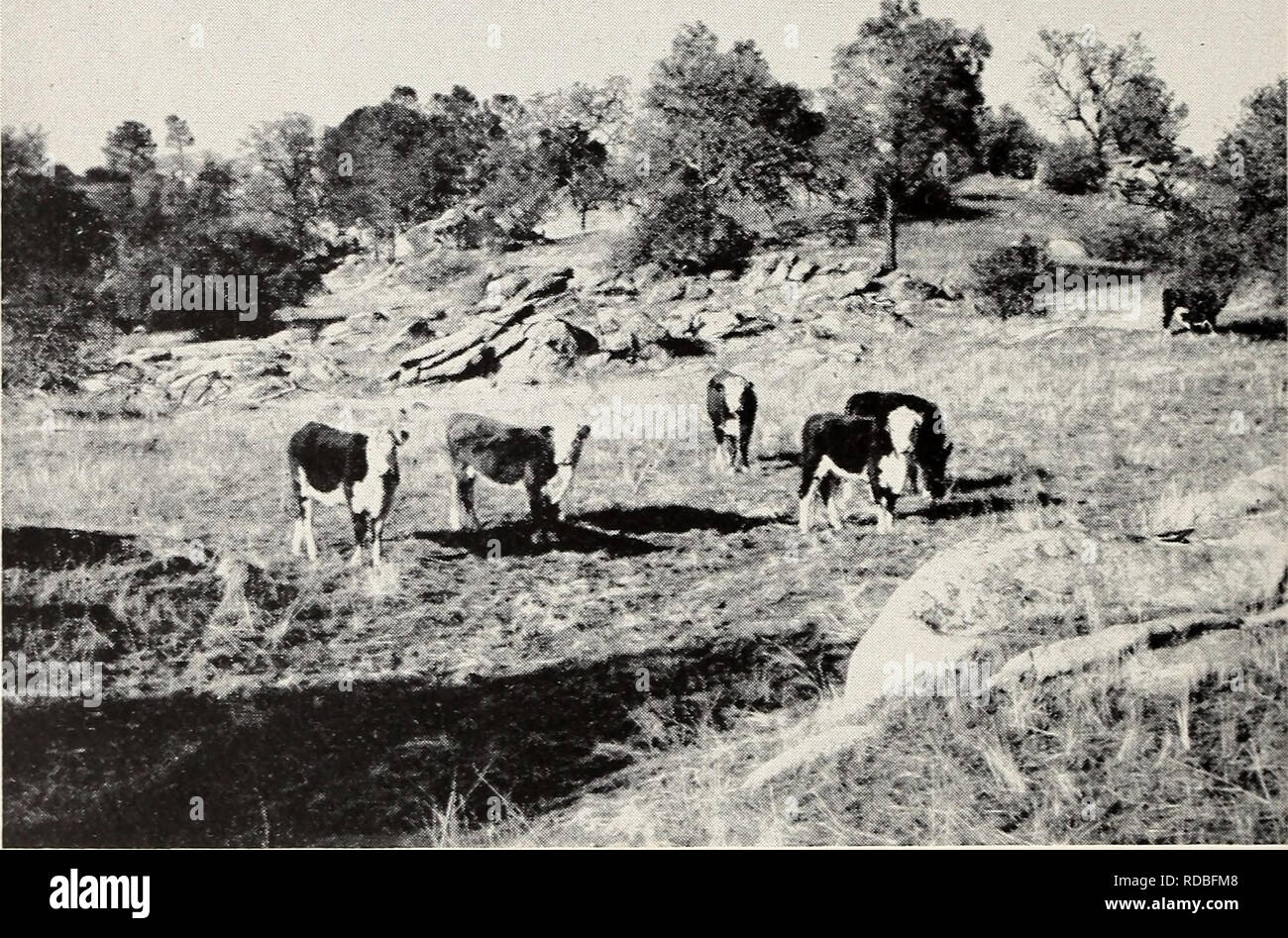 25 percent gradient hi-res stock photography and images - Alamy