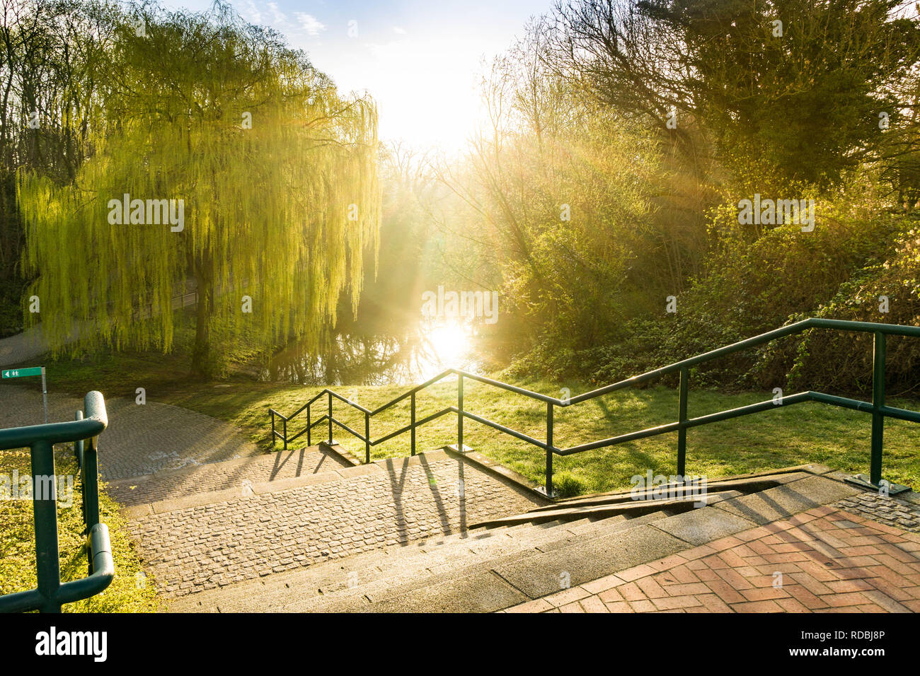 stairs in the park - backlight scene during sunrise Stock Photo - Alamy
