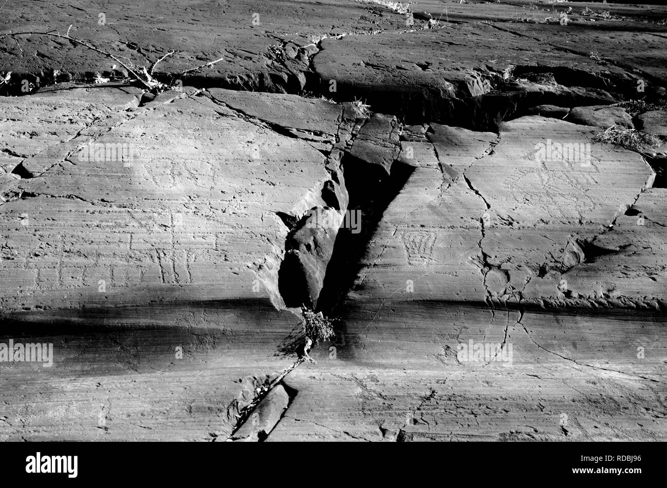 Camunian rose hi-res stock photography and images - Alamy