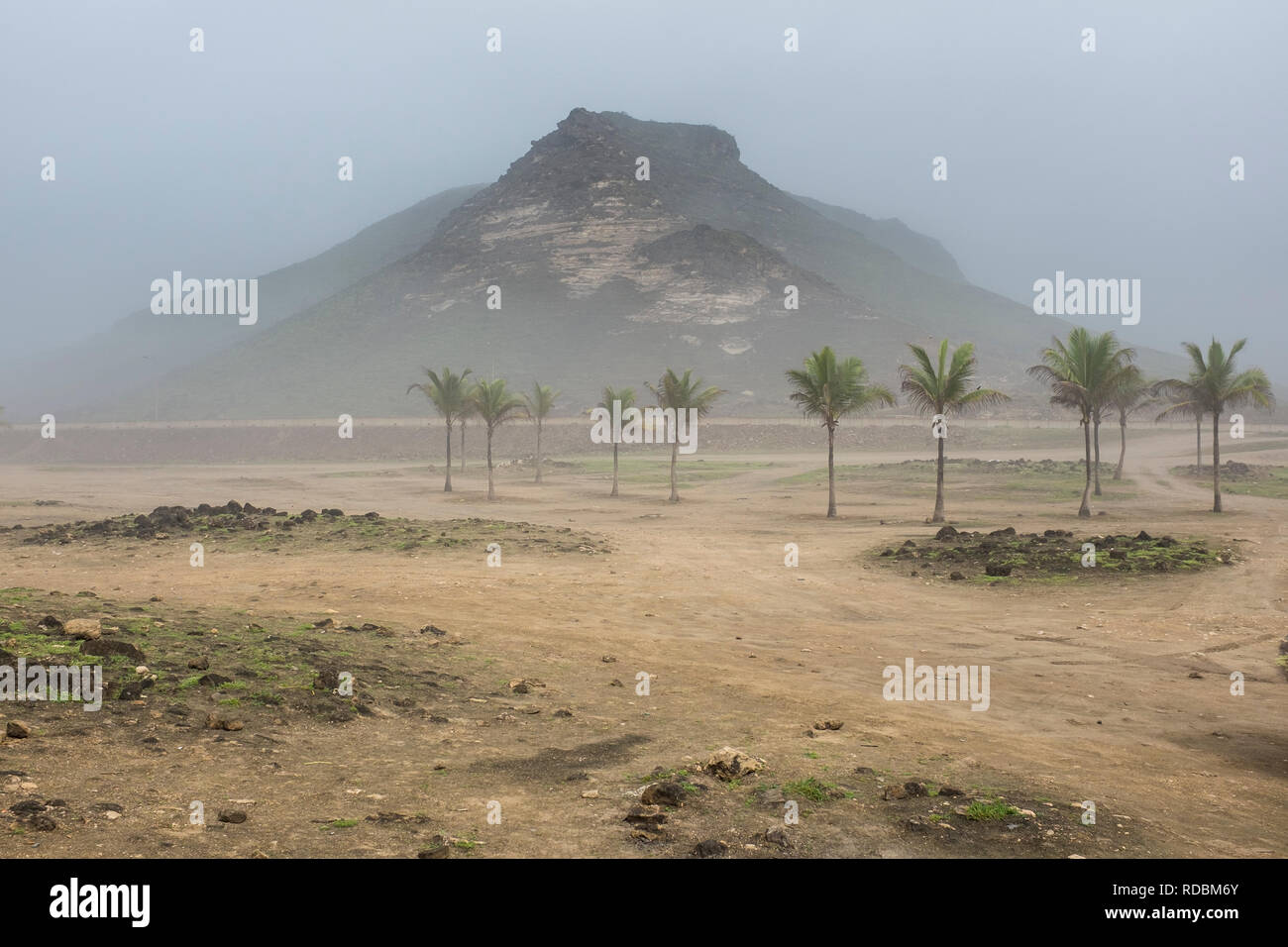 Mughsayl, near Salalah, Dhofar Province, Oman, during the Khareef ...