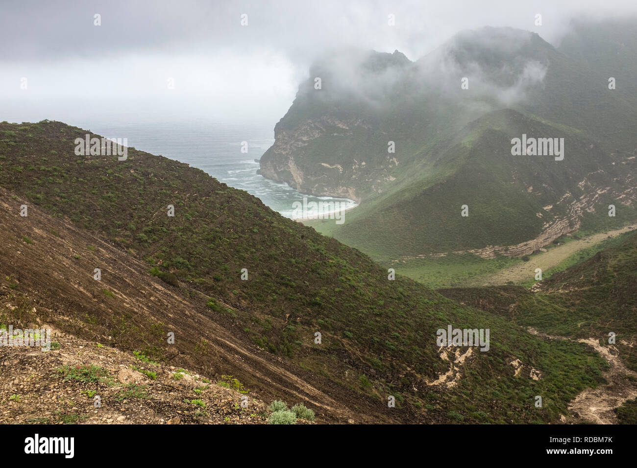 Beautiful beaches and landscape near Salalah, Dhofar governorate, Oman ...