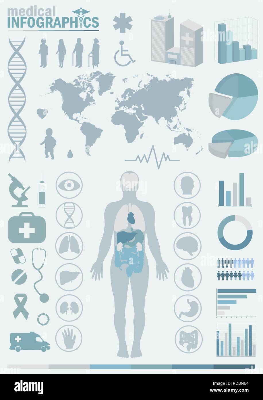 Teeth infographics hi-res stock photography and images - Alamy