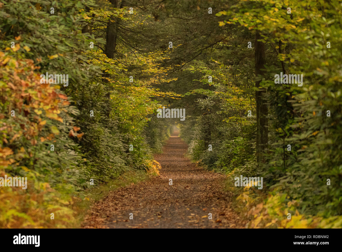 Switchback Trail, Jim Thorpe PA Stock Photo - Alamy