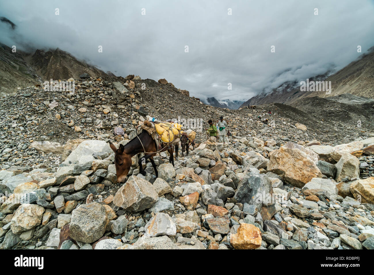 K2 mountain range hi-res stock photography and images - Alamy