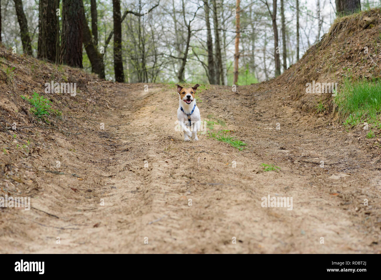 Country road running hi-res stock photography and images - Alamy