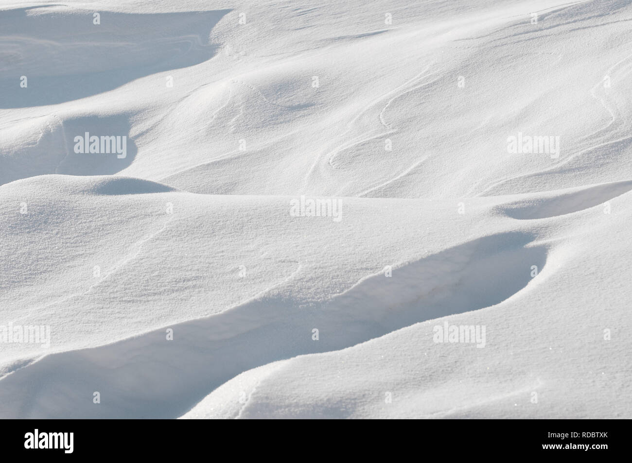 Landscape with white snow.Winter background with copy space for text ...