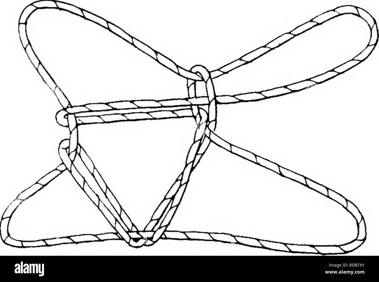 Ulnar loop hi-res stock photography and images - Alamy