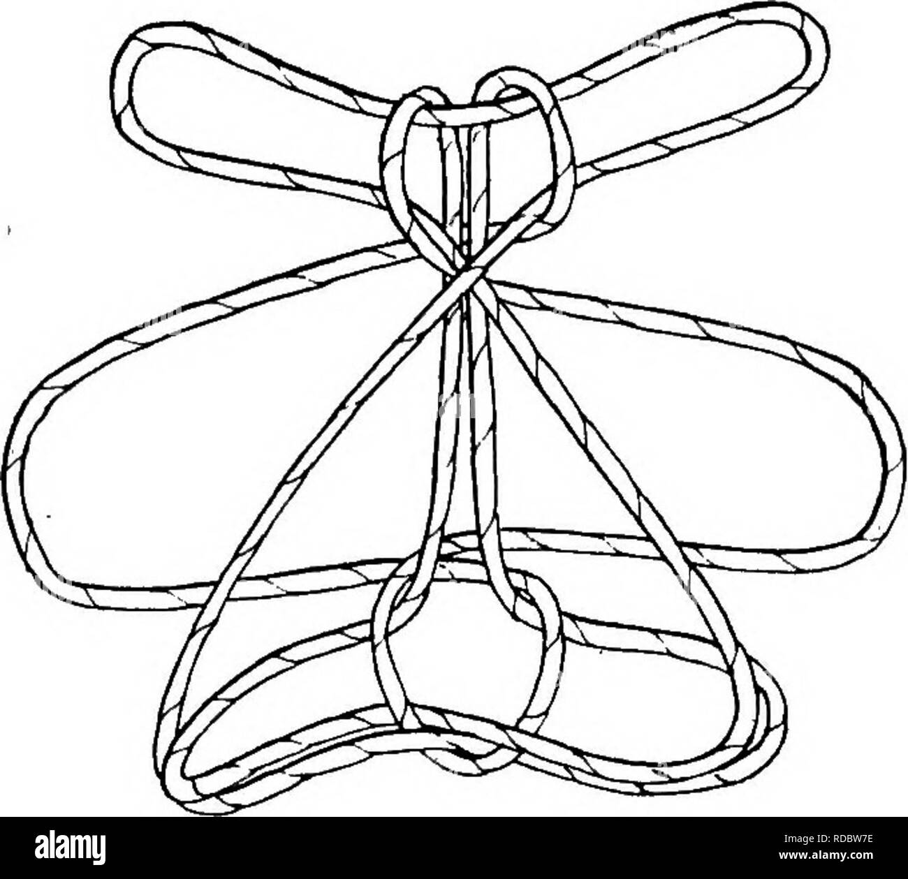 Ulnar loop hi-res stock photography and images - Alamy