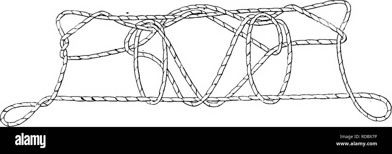 . Report of the Canadian Arctic Expedition 1913-18. Scientific ...