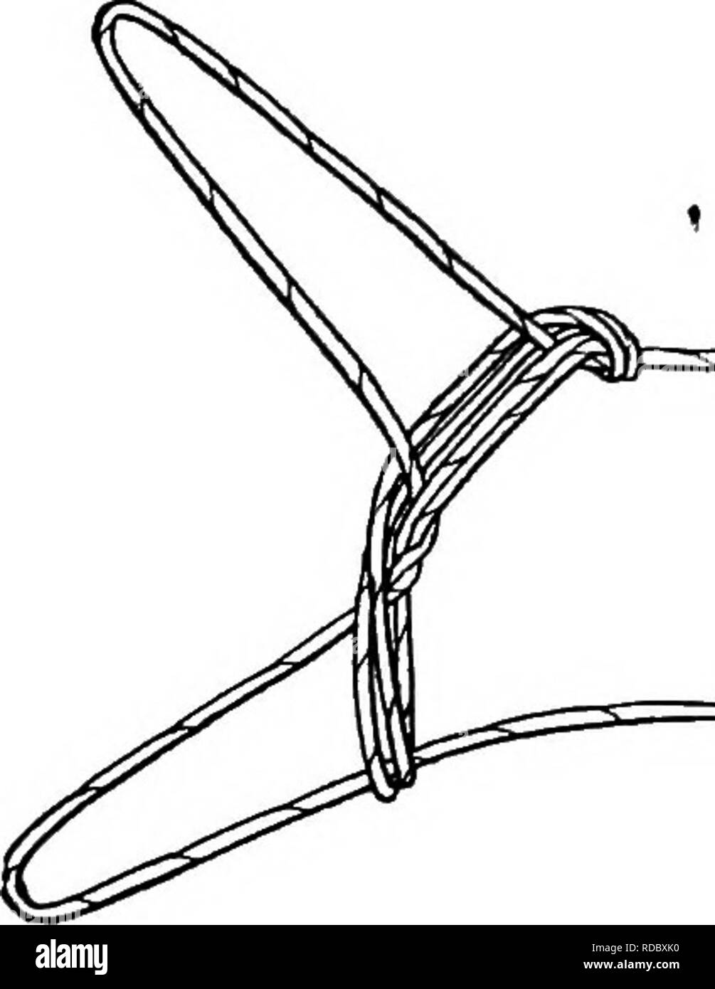 The string puller hi-res stock photography and images - Alamy