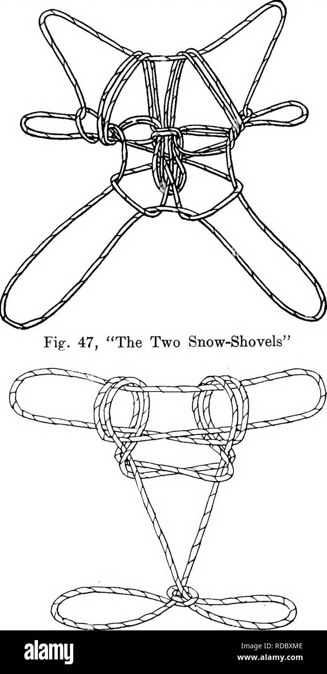 . Report of the Canadian Arctic Expedition 1913-18. Scientific ...