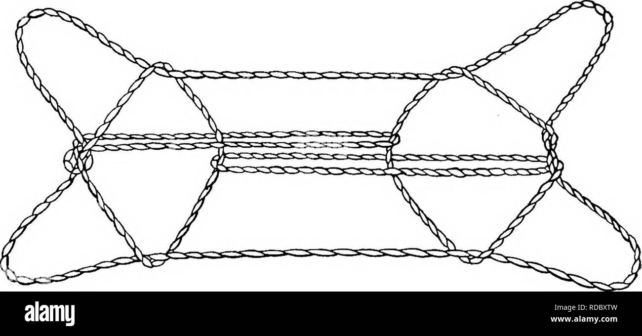 Ulnar loop hi-res stock photography and images - Alamy