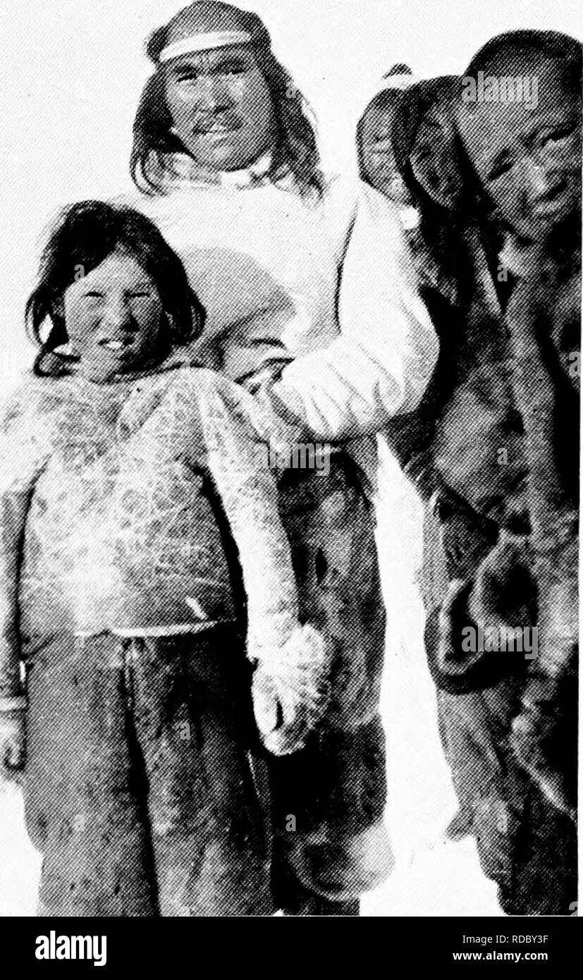 Victoria strait arctic hi-res stock photography and images - Alamy