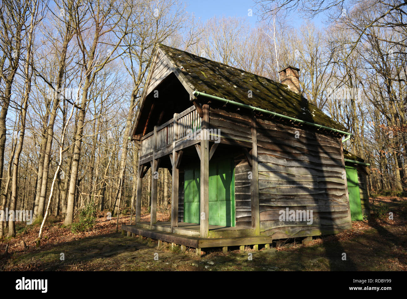 A wooden shack deep in the woods, England, UK Stock Photo - Alamy
