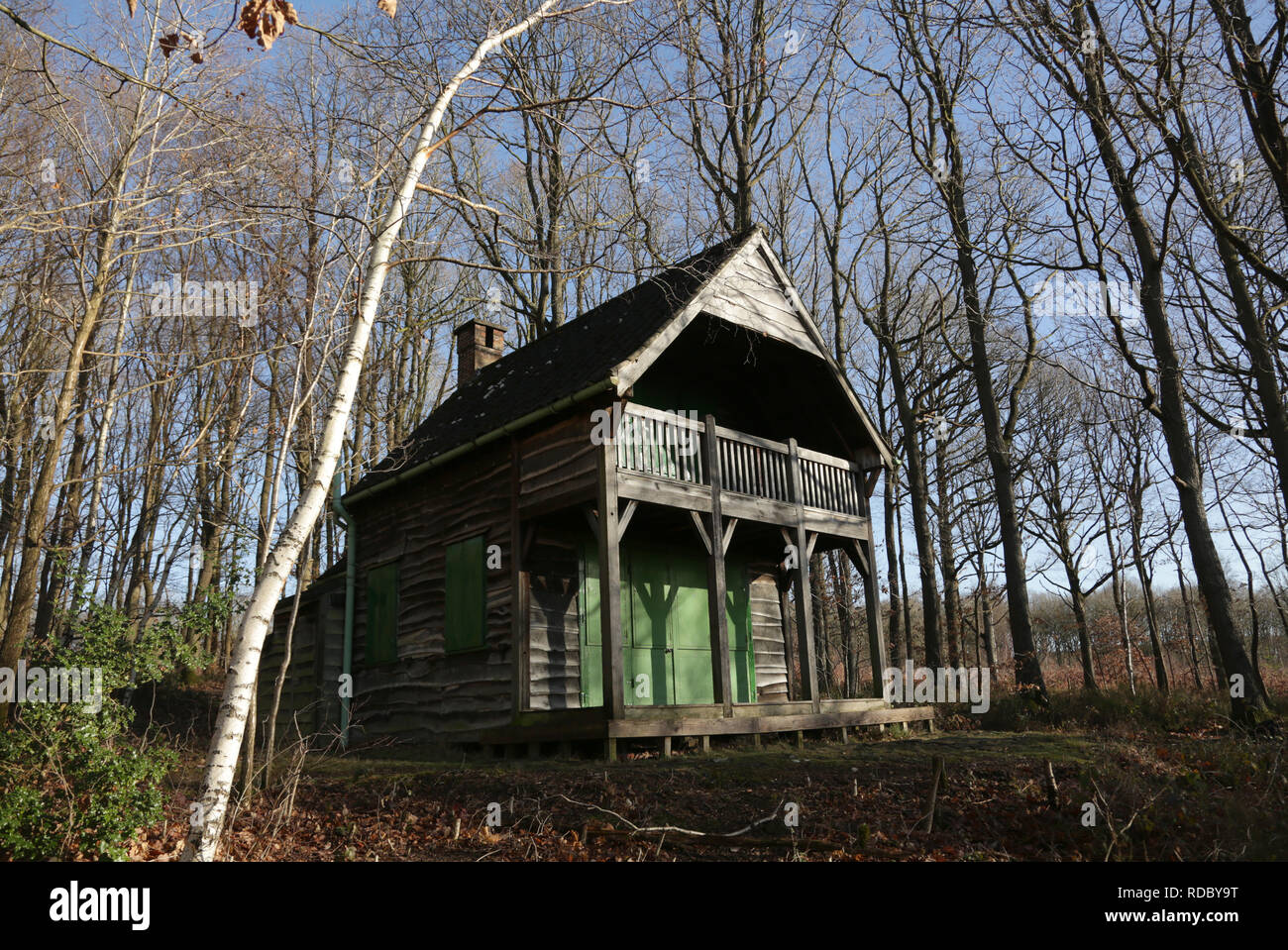 A wooden shack deep in the woods, England, UK Stock Photo - Alamy
