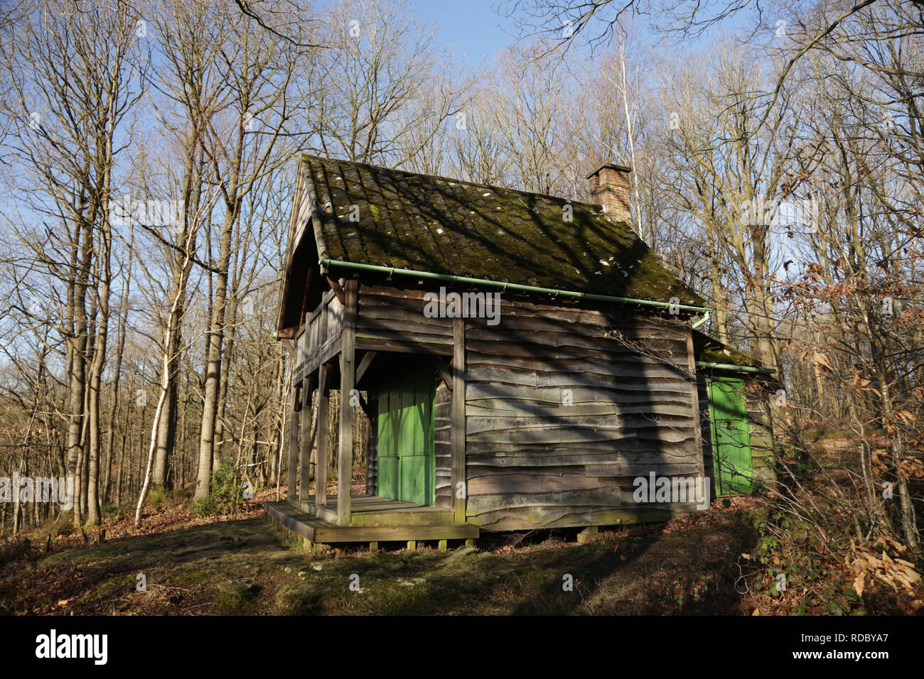 A wooden shack deep in the woods, England, UK Stock Photo - Alamy