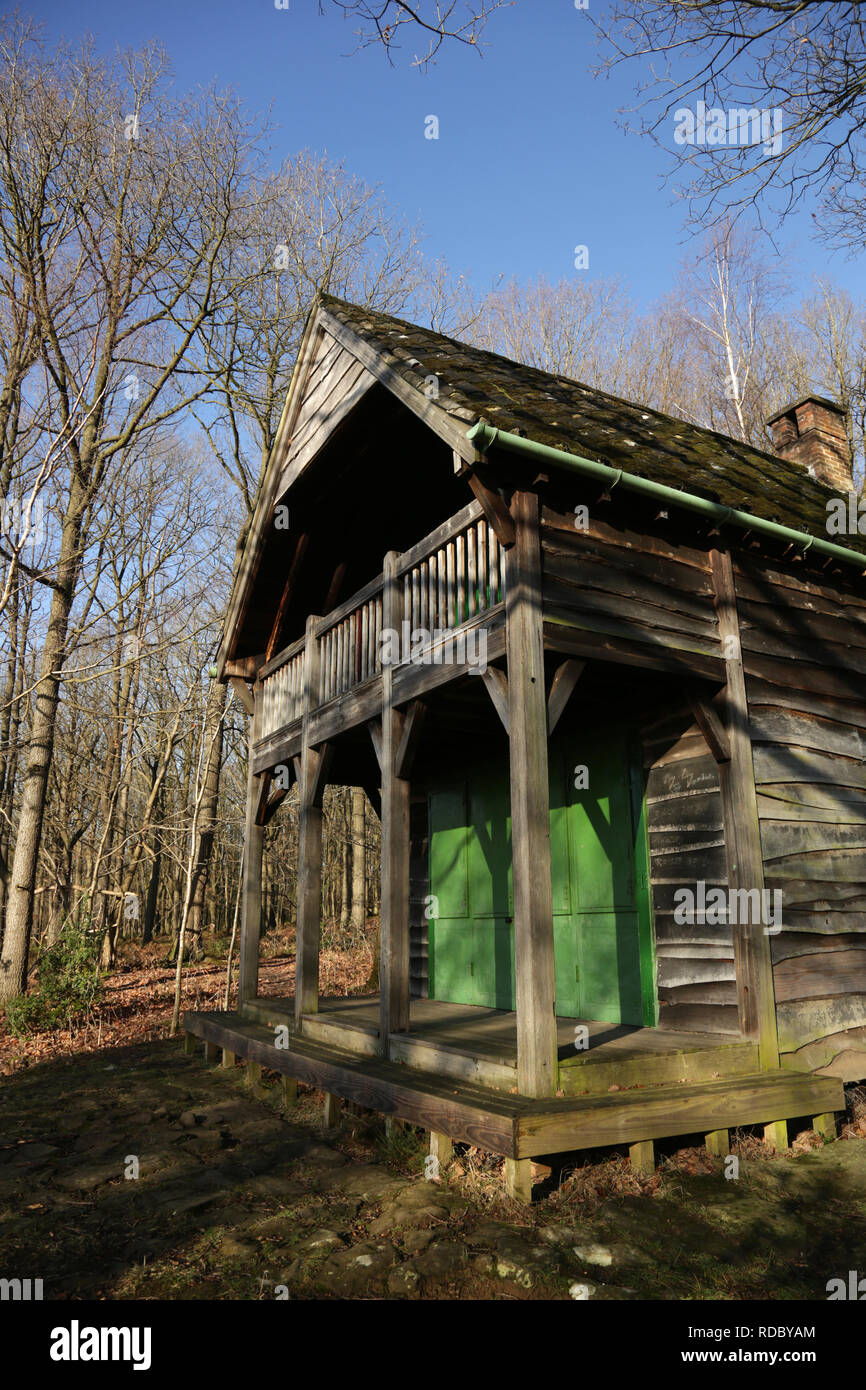 A wooden shack deep in the woods, England, UK Stock Photo - Alamy