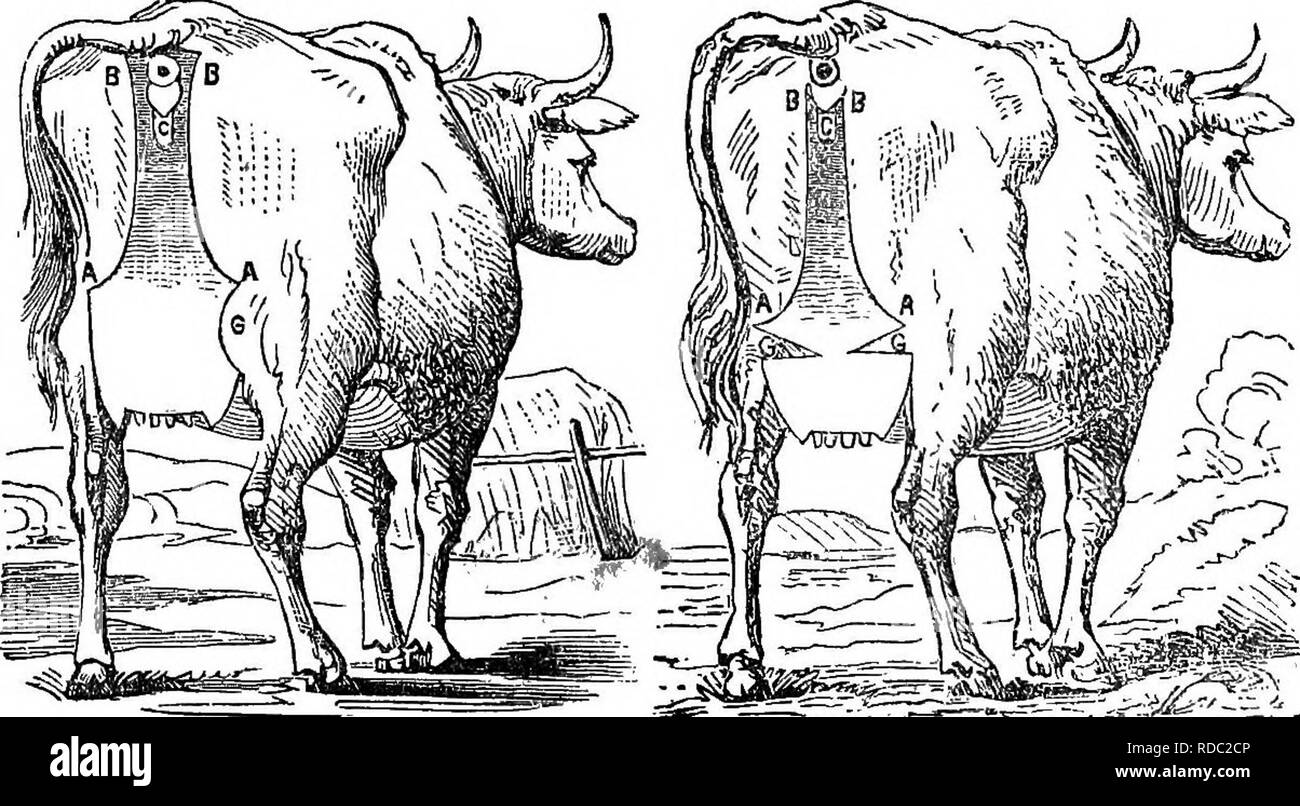 Trist nicholas hi-res stock photography and images - Alamy