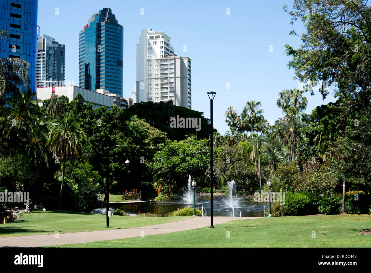 City Botanic Gardens, Brisbane, Queensland, Australia Stock Photo - Alamy