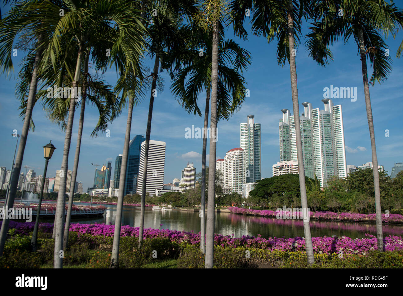 Lake ratchada bangkok hi-res stock photography and images - Alamy