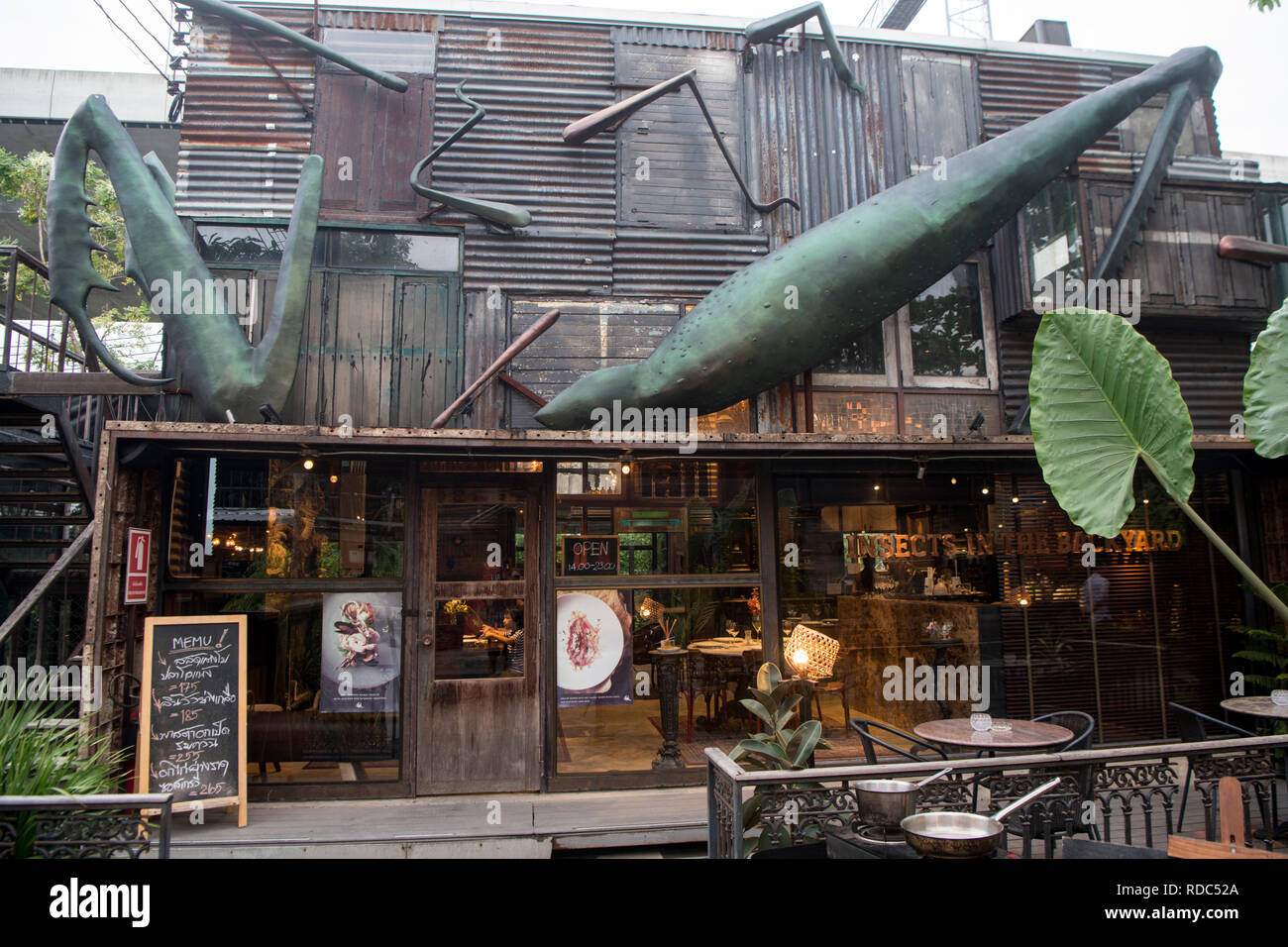 Insects restaurant hi-res stock photography and images - Alamy