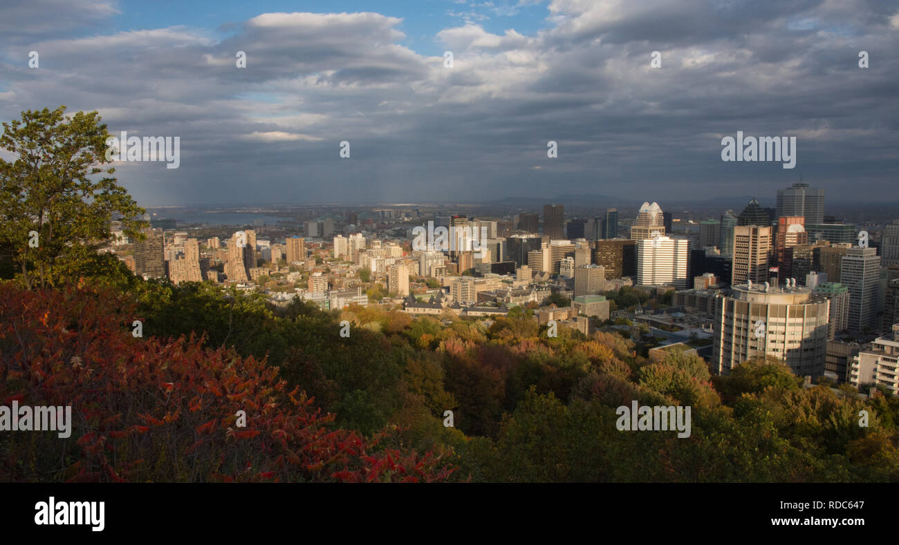 Montreal seen from above at Mont Royal, panorama, sunset time, sun on ...