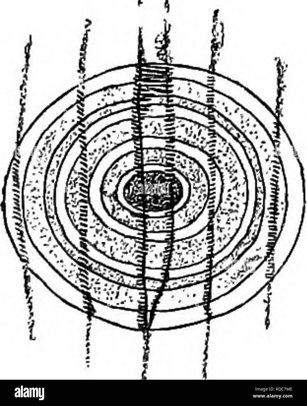 6 207 Black and White Stock Photos & Images - Alamy