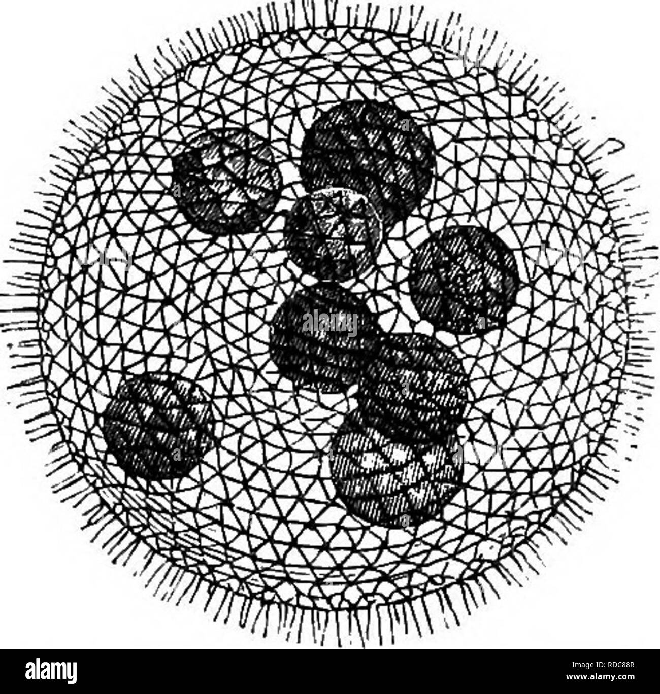 Revolving spheres Black and White Stock Photos & Images - Alamy