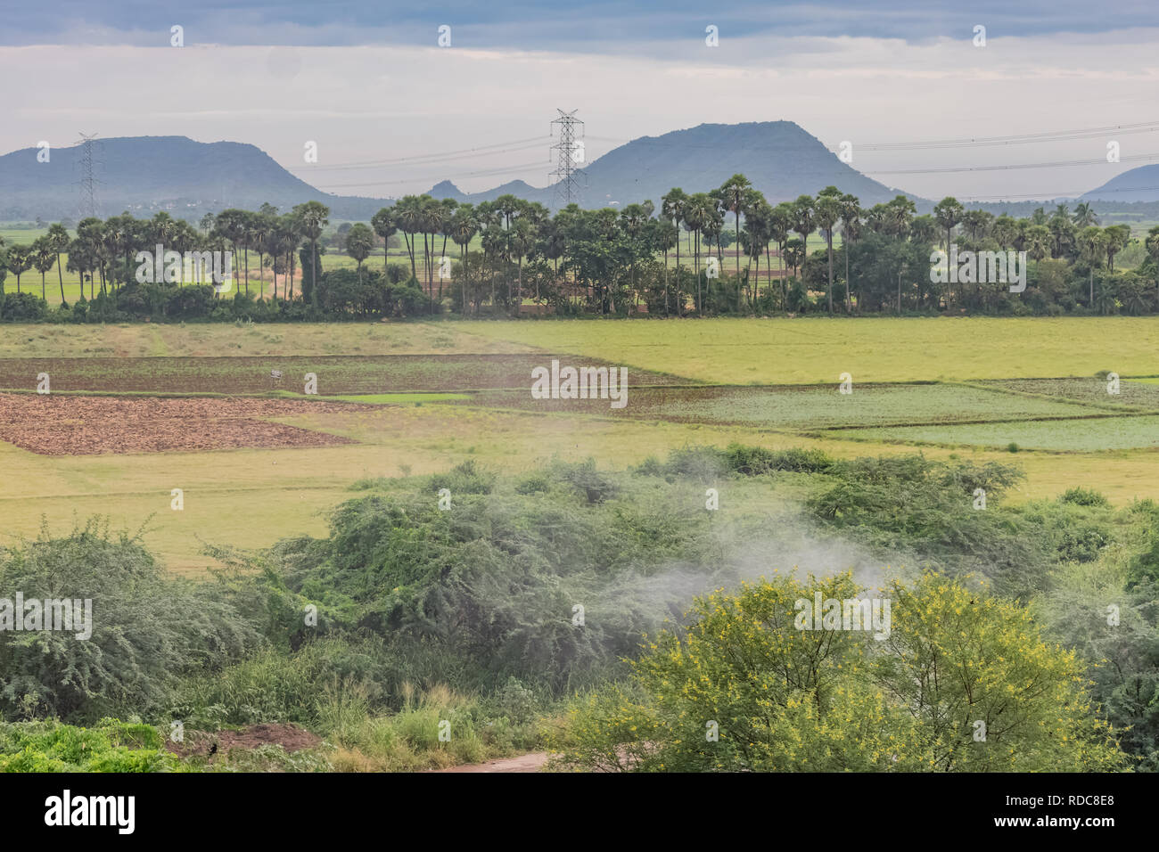 fire smoke flowing from small bushes of trees with awesome greenery ...