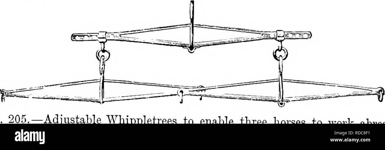. A manual of veterinary hygiene. Veterinary hygiene. CAEE AND ...