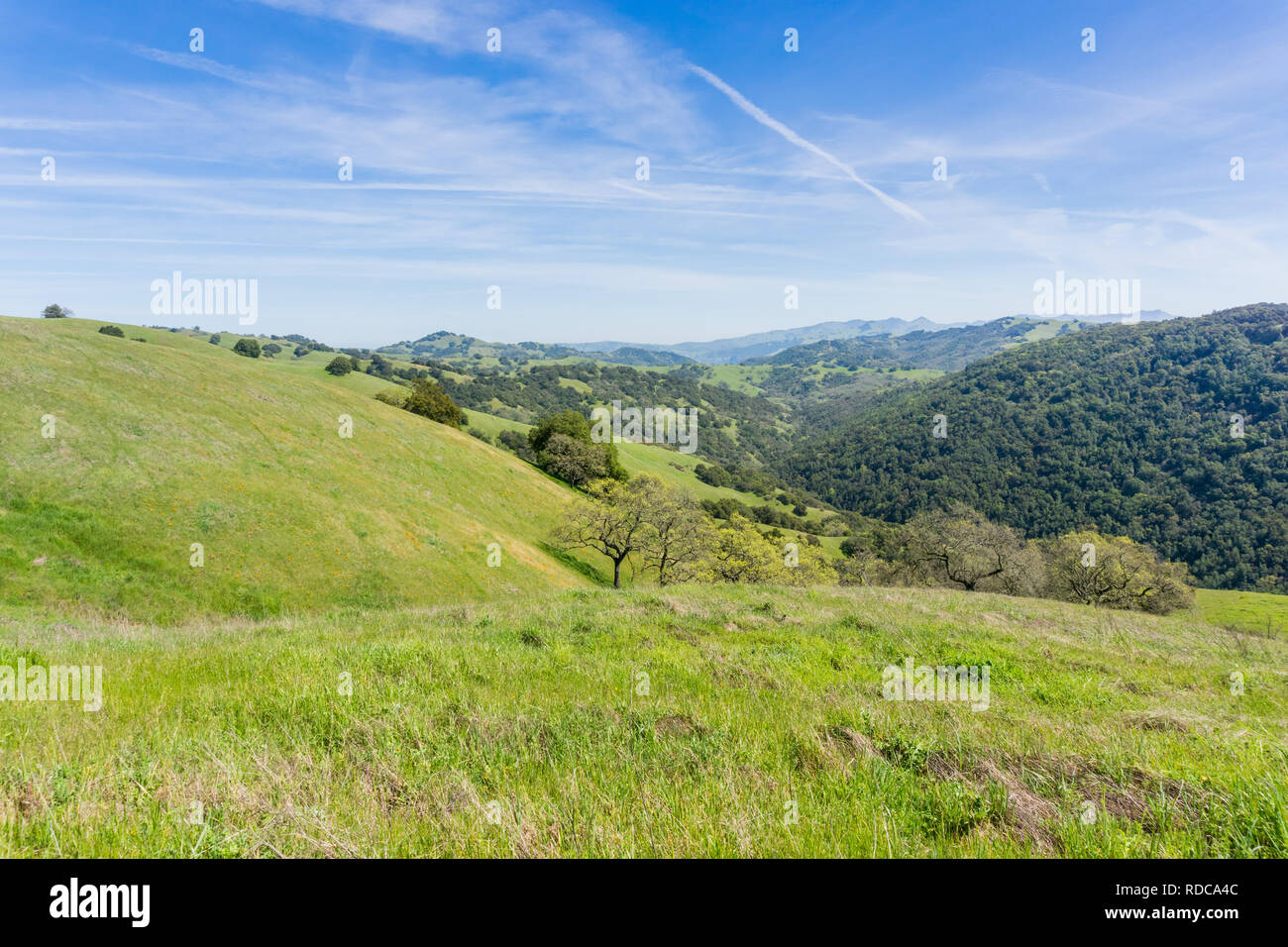 View towards Hunting Hollow valley, Henry Coe state park, California ...