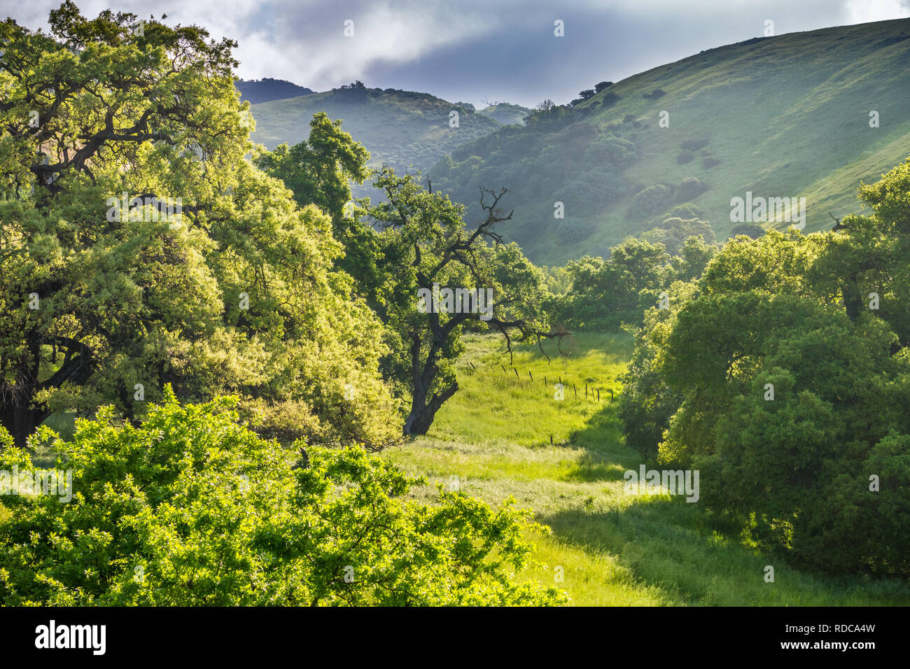 Verdant Valley Stock Photos & Verdant Valley Stock Images - Alamy